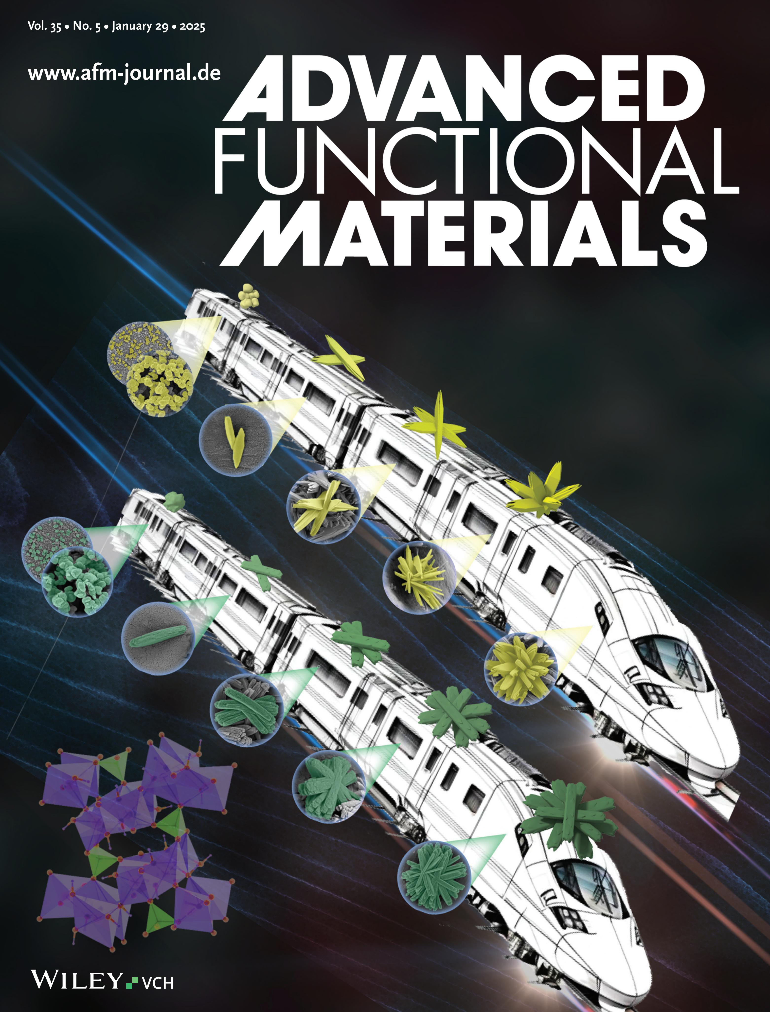 材料与化学工程学院在材料领域国际顶刊AFM（IF 18.5）上 发表封面论文-西南林业大学